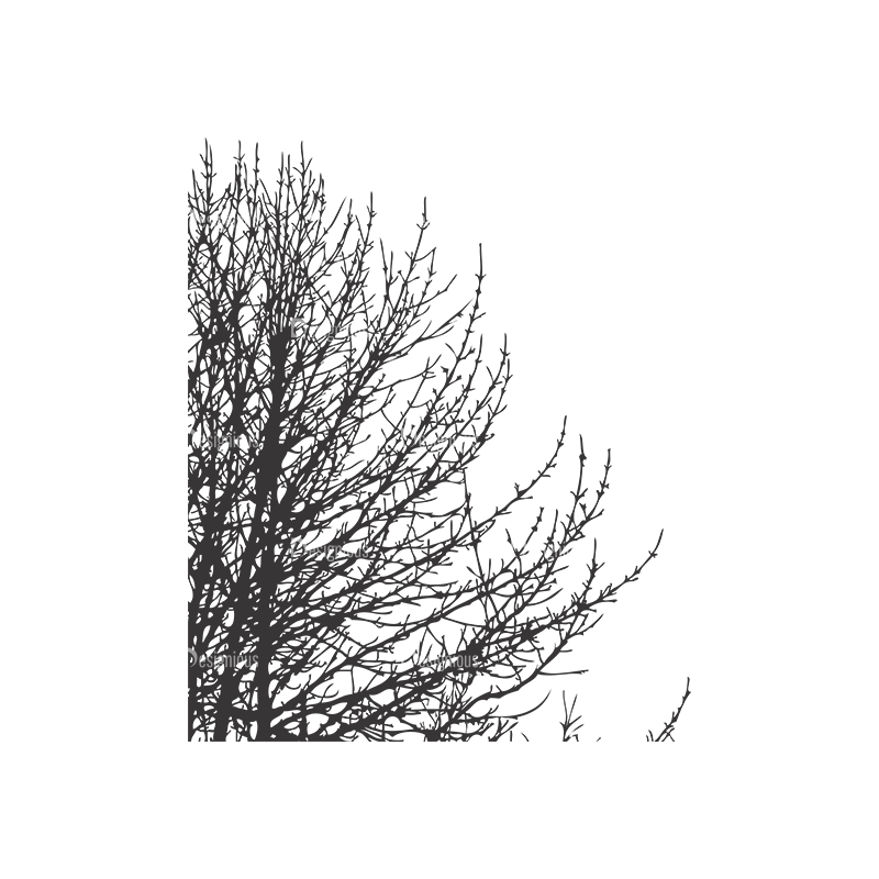 Normal Trees Vector 1 2