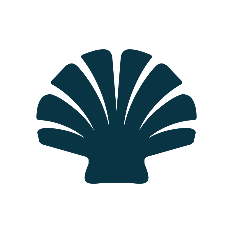 Marine Icons Vector 1 Vector Shell