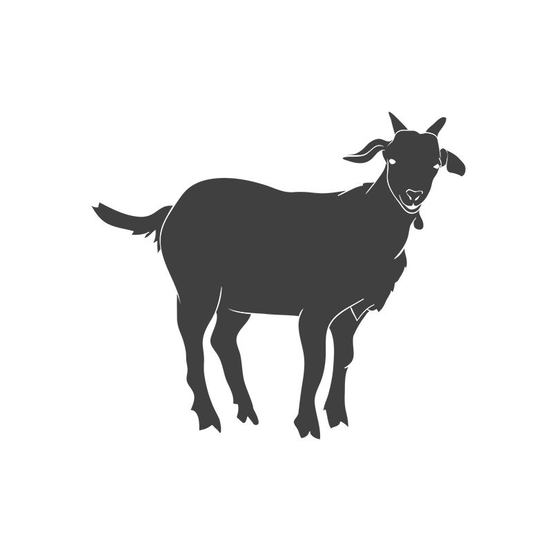 Domestic Animals Vintage Vector 3 Vector Goat | Designious
