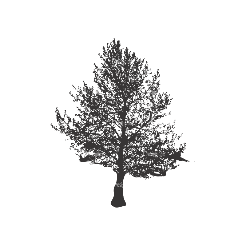 Normal Trees Vector 1 5